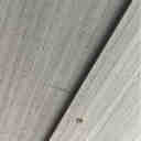 August Grove® Anniya 63" H x 47.2" W Standard Bookcase & Reviews | Wayfair